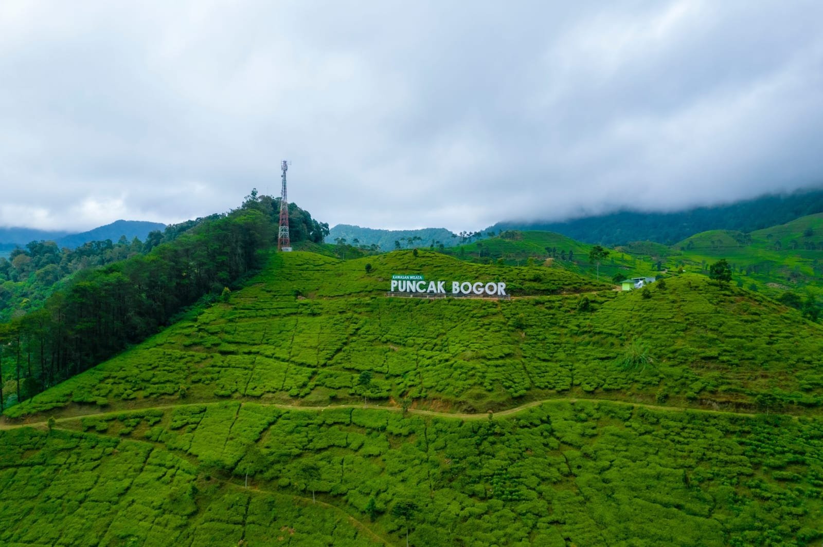 Menikmati Keindahan Puncak Bogor, Dari Kebun Teh hingga Wisata Keluarga ...